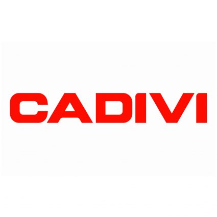 LOGO CADIVI - Điện Châu Á